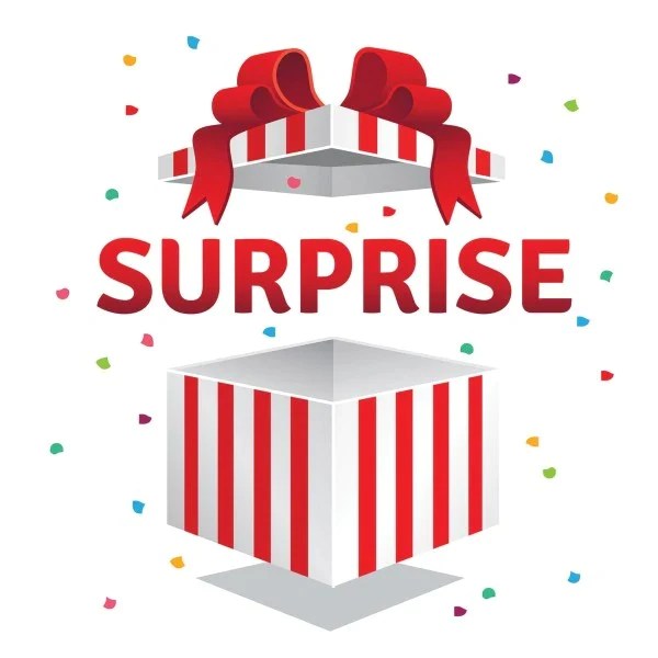 THE SURPRISE PACKAGE | Havilah Speaks
